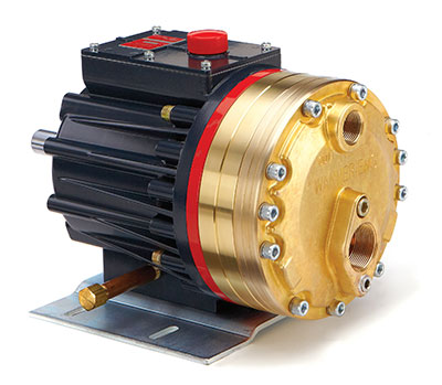 H25 (US) / G25 (Metric) - Wanner Pumps